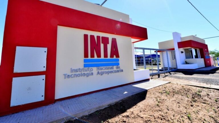 Microsoft y el INTA fortalecen la inteligencia artificial aplicada al ...