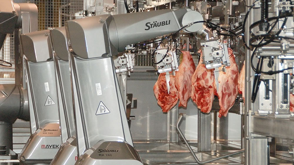 La robótica y el procesamiento de la carne - De Frente al Campo