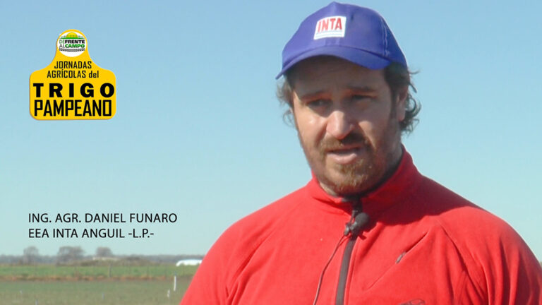 Entrevista: Daniel Funaro nos habló de las investigaciones en Trigo ...