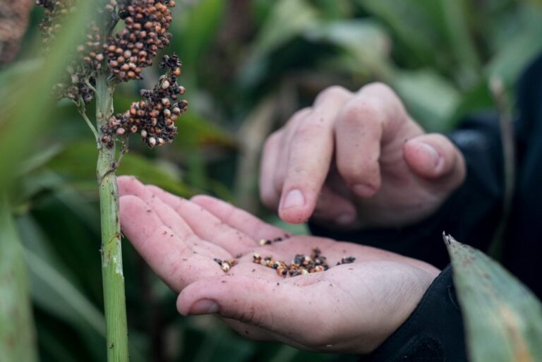 "Momento clave para el país": Advanta invirtió US$ 5 millones para ...