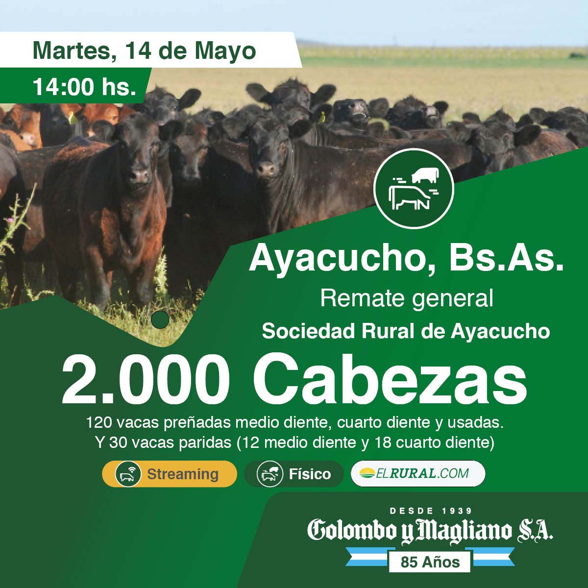 Complejo respiratorio bovino: evidencia de circulación viral múltiple en un establecimiento de ...