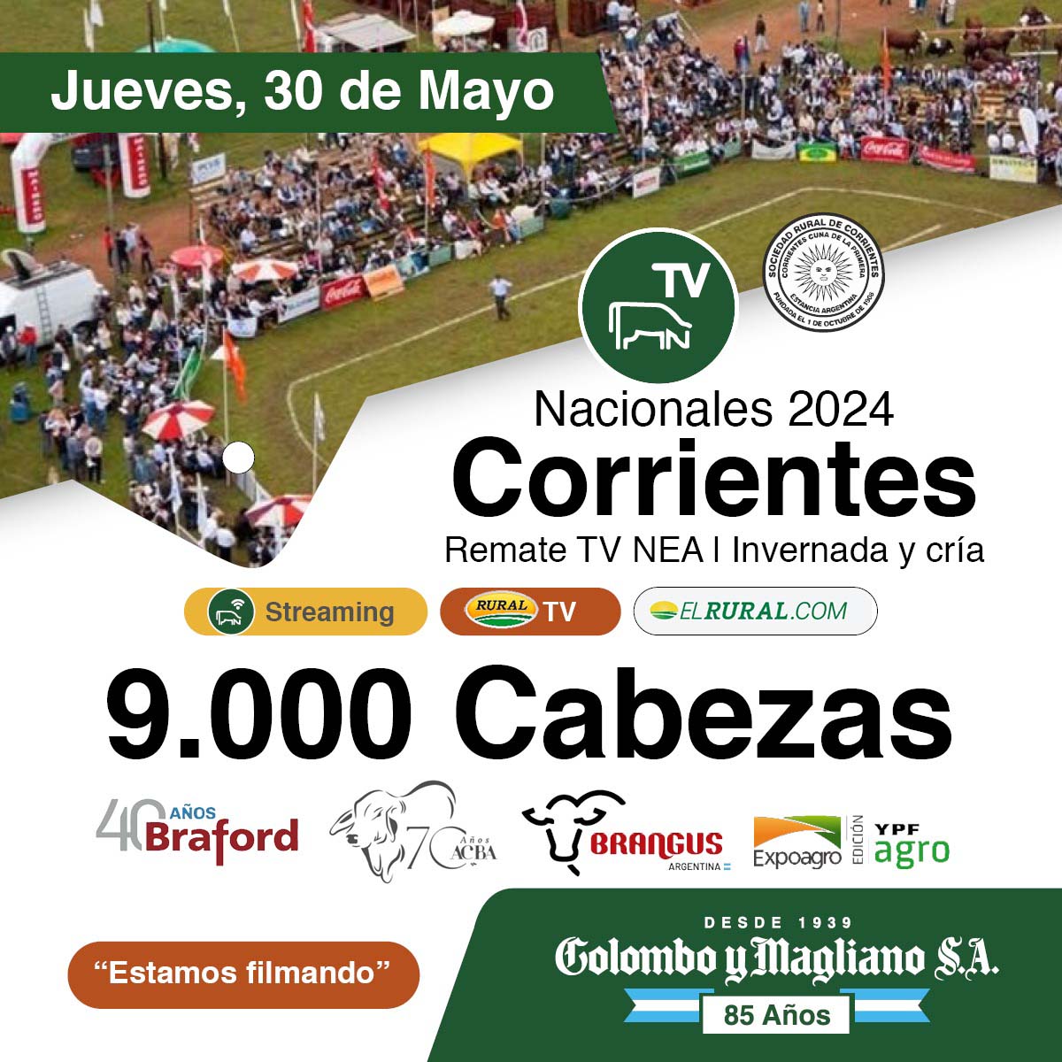 Limpieza y canibalismo: con videos, muestran detalles desconocidos de la abeja melífera - De ...