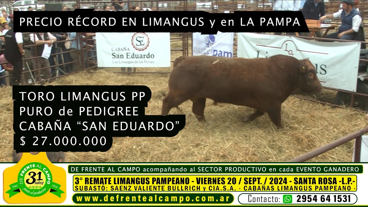 Entrevista: 3º Remate Limangus Pampeano trae oportunidades para mejorar la genética ganadera en ...