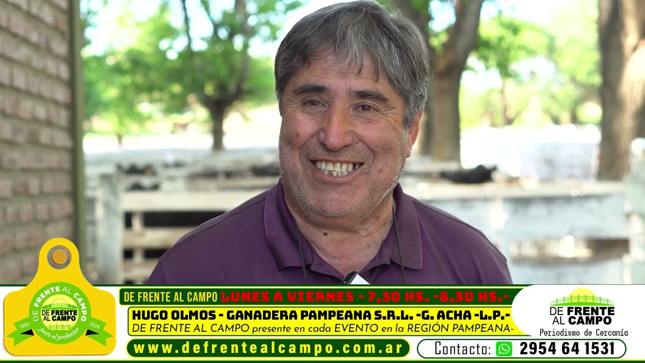 Entrevista: Hugo Olmos analiza el remate feria de noviembre en Ganadera ...