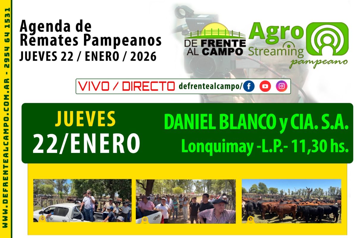 Remate feria Daniel Blanco en Lonquimay – Enero 2026